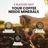 Danger Coffee | Dave Asprey's Remineralized Mold Free Coffee